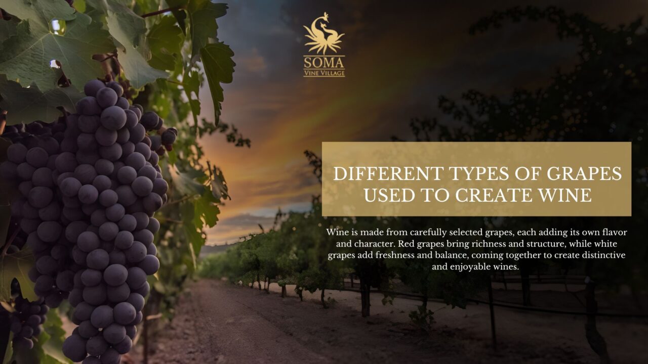Different Types of Grapes Used to Create Wine | Soma Vine Village