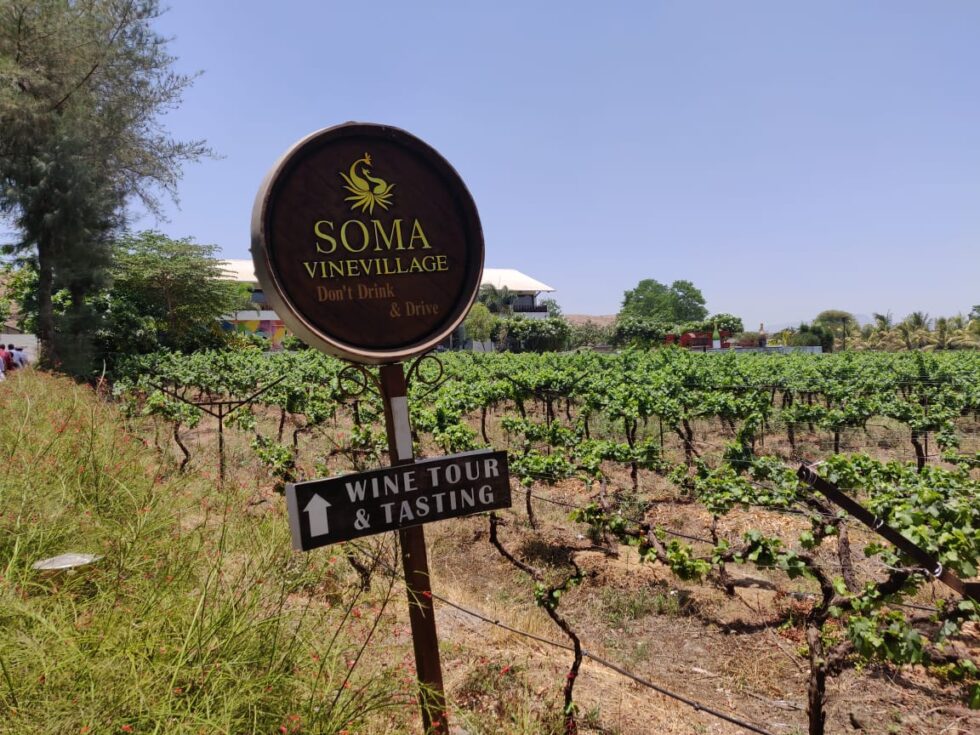 Why to Go for a Private Wine Tour and Tasting ft. Soma Vine Village ...