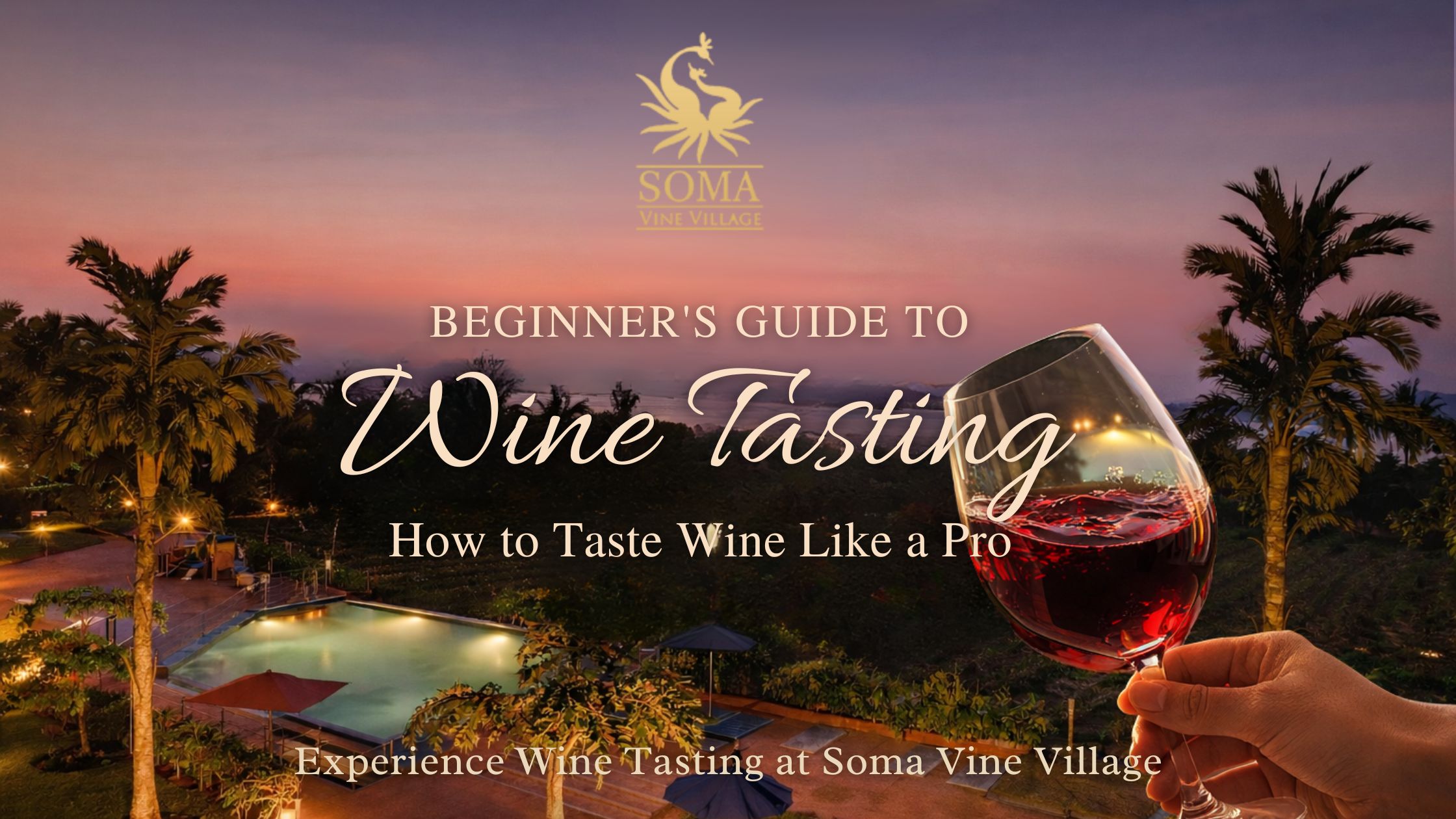Beginner’s Guide to Wine Tasting: How to Taste Wine Like a Pro | Soma ...